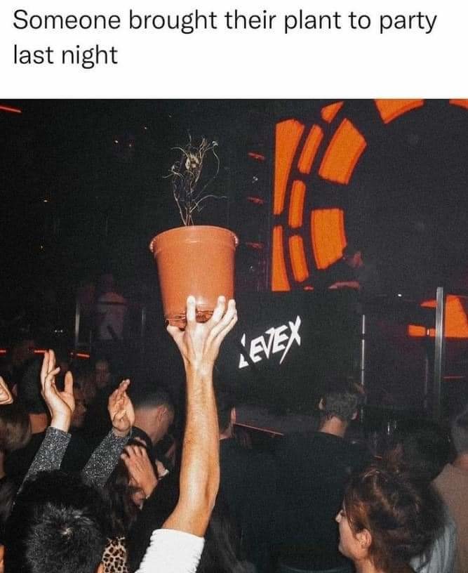 Why not.... - Meme by Mercenary_Hero :) Memedroid