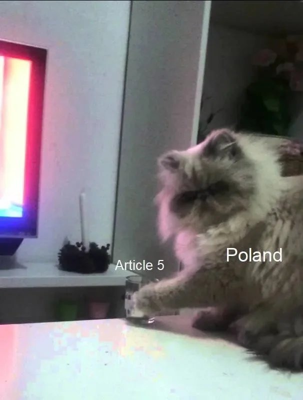 The Latest Memes :) Memedroid