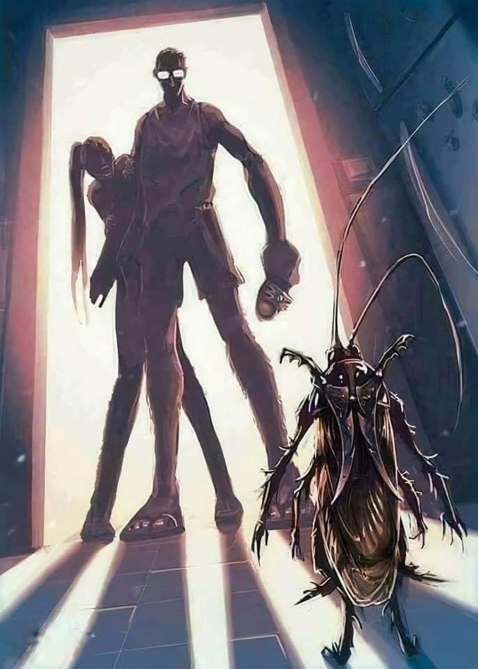 Los Últimos Memes :) Memedroid