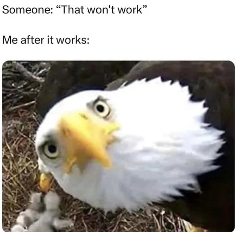 The best Eagle memes :) Memedroid