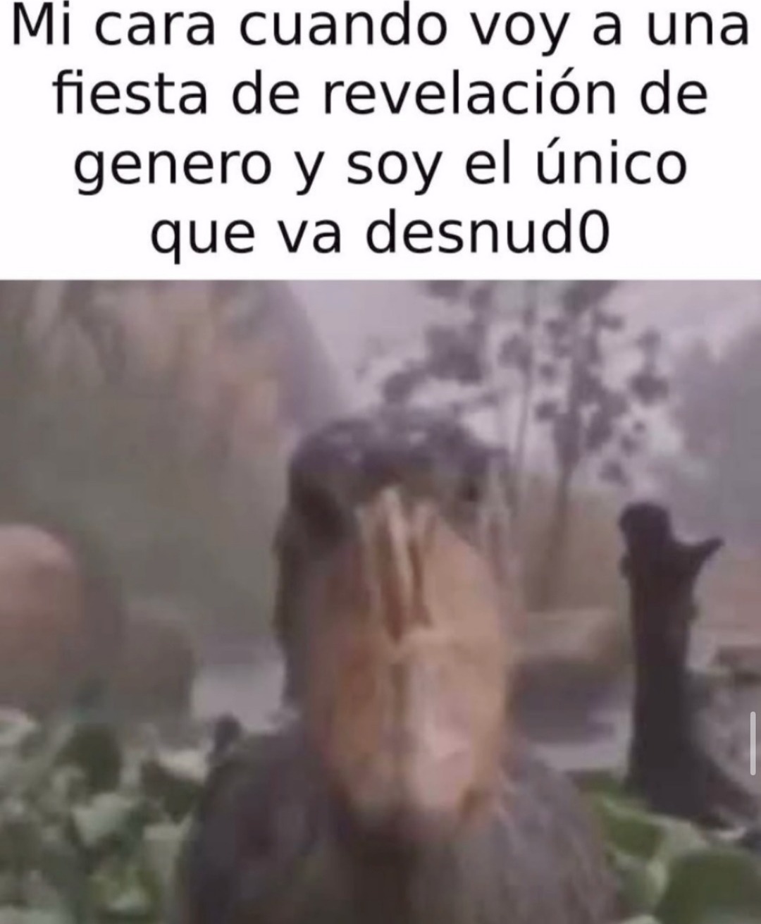 Los Últimos Memes :) Memedroid