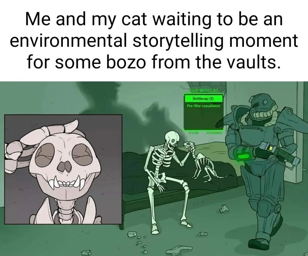 The best Fallout memes :) Memedroid