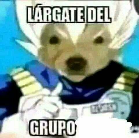 Los Últimos Memes :) Memedroid