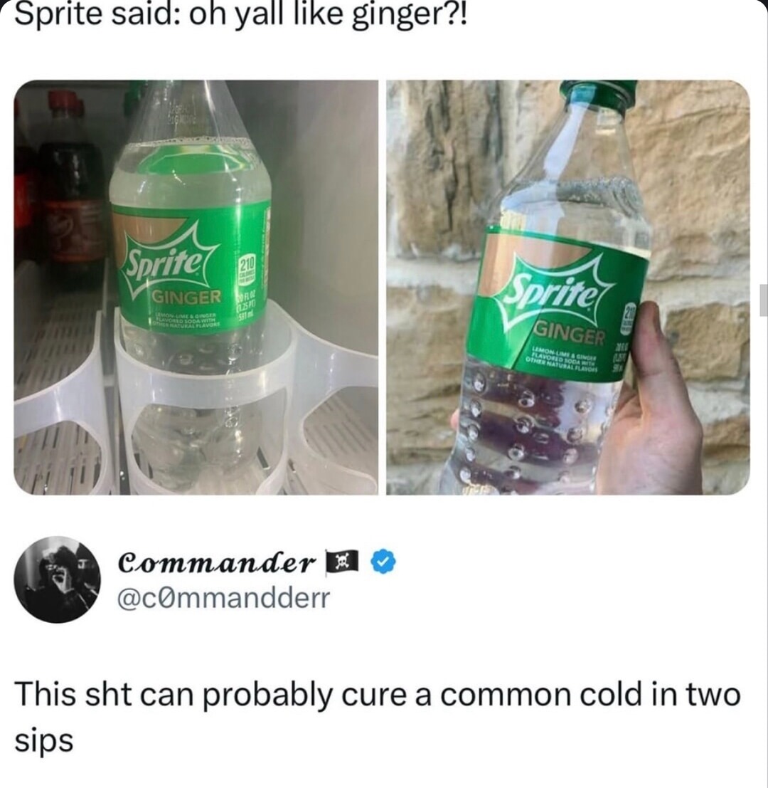 The best Ginger memes :) Memedroid