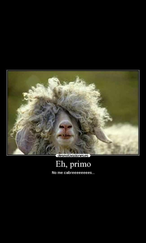 oveja - Meme subido por asier2001-2014 :) Memedroid