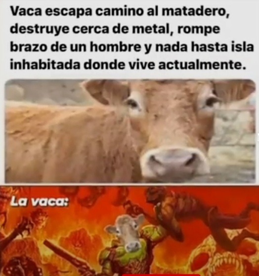 La vaca slayer - Meme subido por Perro_con_capa2.0 :) Memedroid