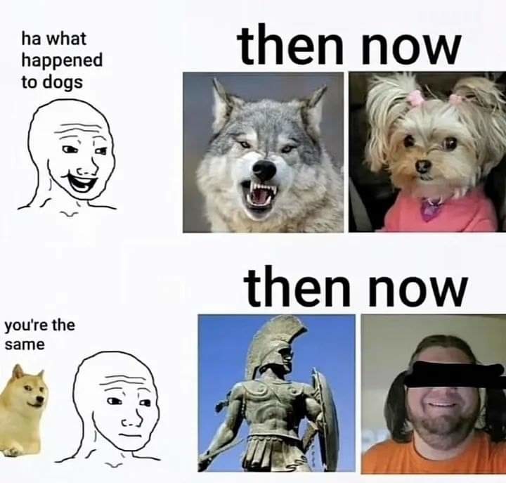 Evolution - Meme by Mr.Gimli :) Memedroid