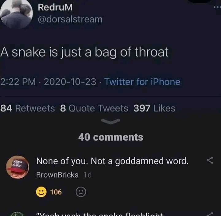 The best Snake memes :) Memedroid