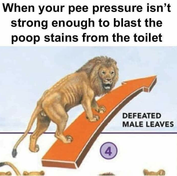 Defeated! - Meme by audilover23 :) Memedroid