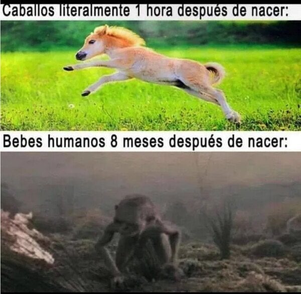 Top memes de Humanos en español :) Memedroid