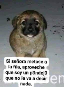 Top memes de Colarse en español :) Memedroid