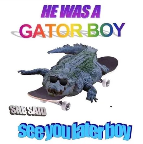 The best Alligator memes :) Memedroid