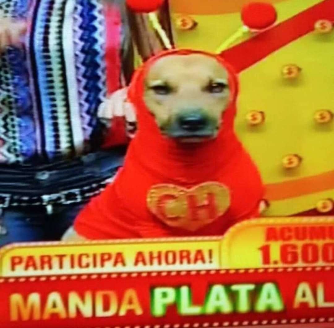 Últimos memes :) Memedroid