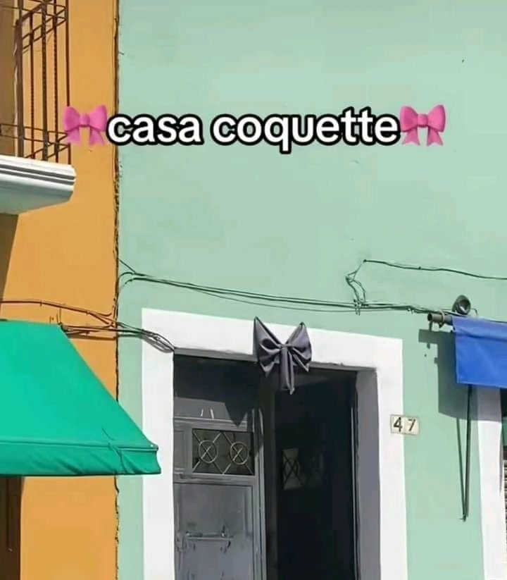 Top memes de Coqueto en español :) Memedroid