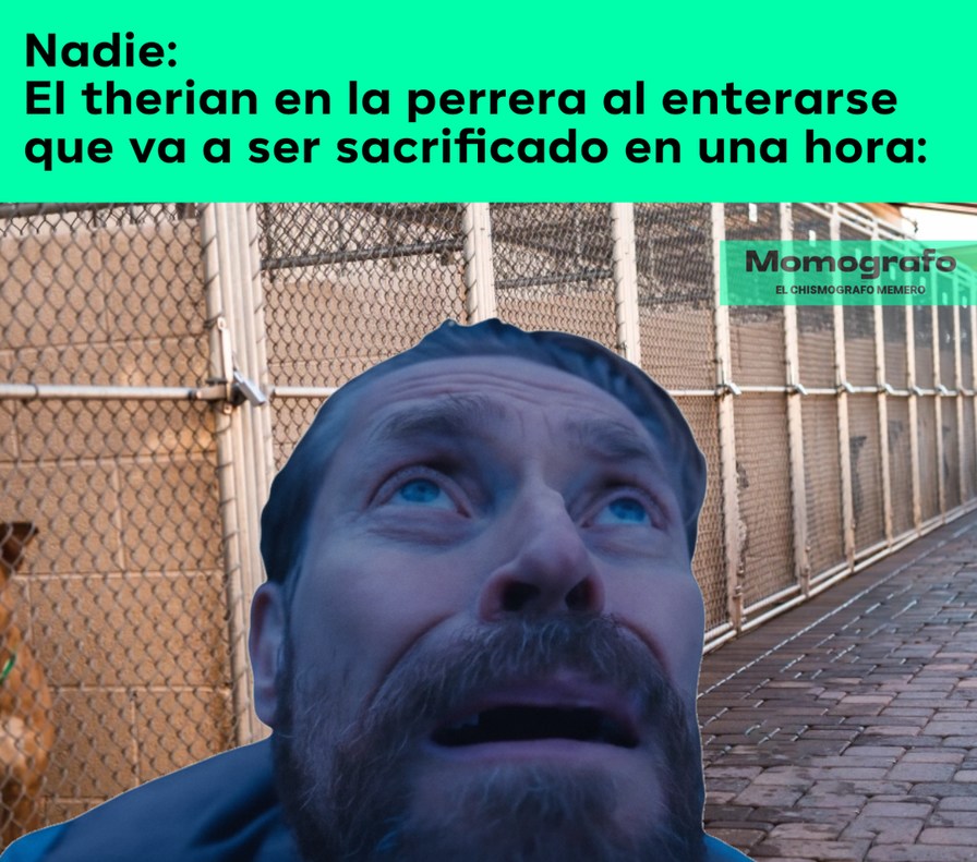 Top memes de Therian en español :) Memedroid