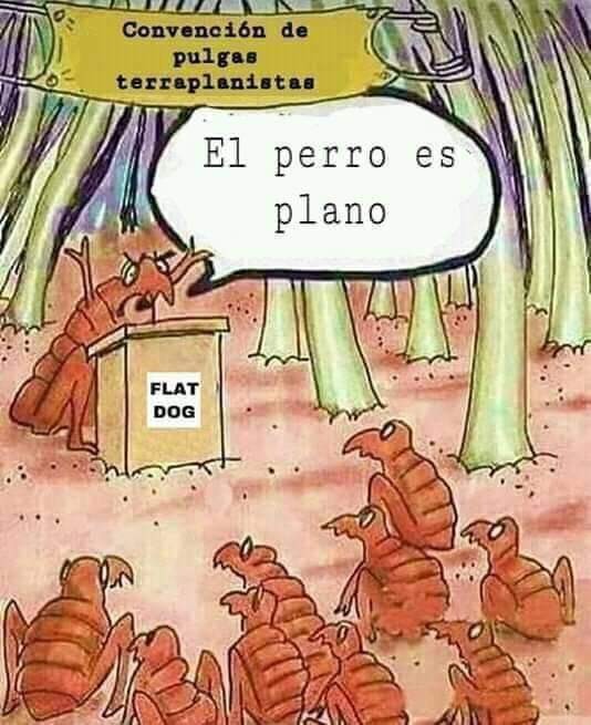 Viernes, 5 de Mayo. - Meme subido por Ake. :) Memedroid