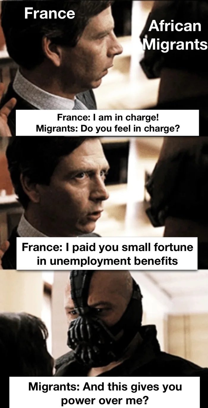 The Latest Memes Memedroid the-latest-memes-memedroid