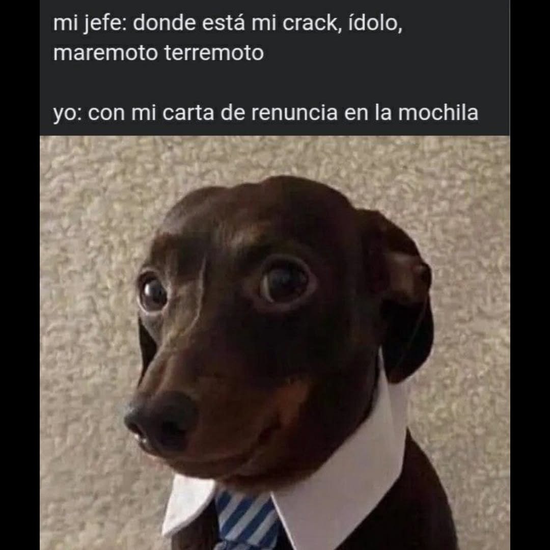 Top memes de Renuncia en español :) Memedroid