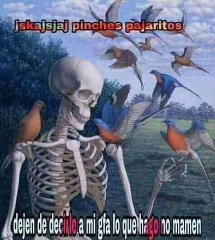 Pinches pajaritos de Oaxaca Maraco Pijada - Meme subido por XxChuck ...