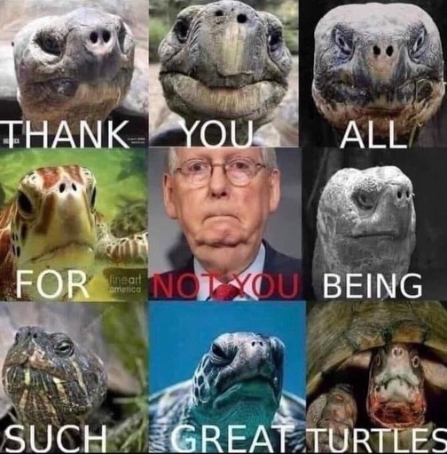 Latest memes / New memes :) Memedroid