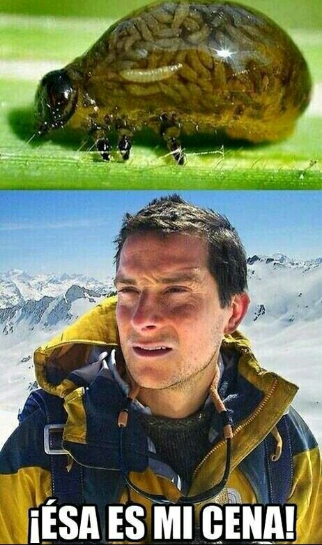 7c77 - Meme by Mafias :) Memedroid