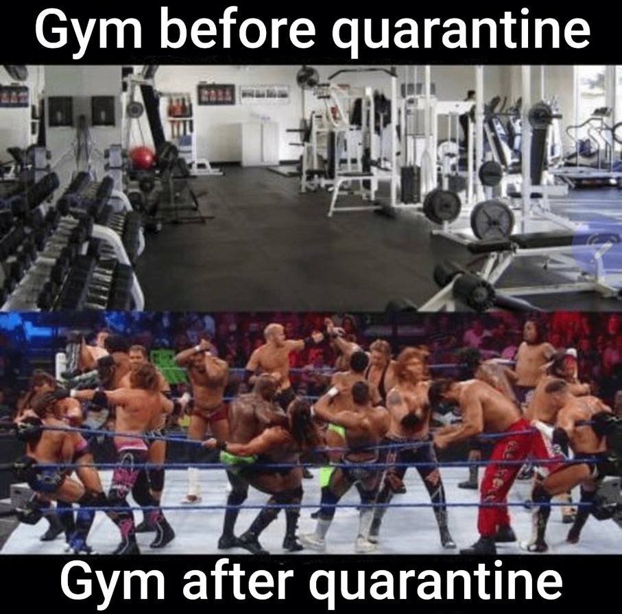 Funny Fat Gym Memes Being A Gym Fanatic And Single On Valentines Day