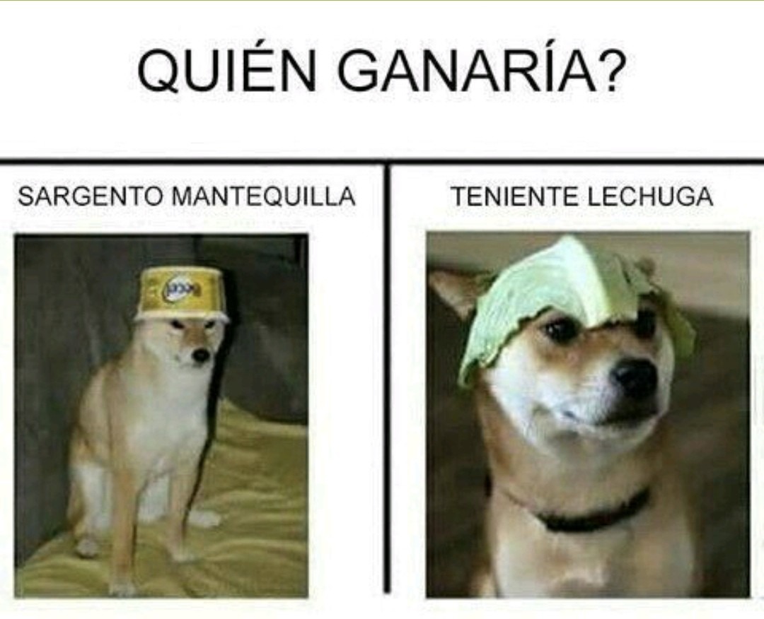 Mi primer meme! - Meme subido por Memes-Sama. :) Memedroid