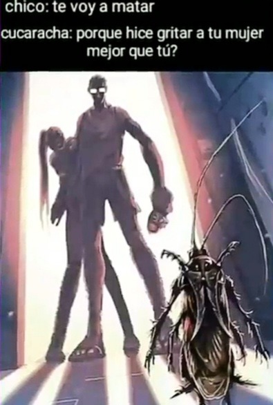 Top memes de Cucaracha en español :) Memedroid