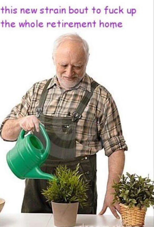 Rawr - Meme by Communist_Dolan :) Memedroid