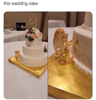 Cake Eating Memes