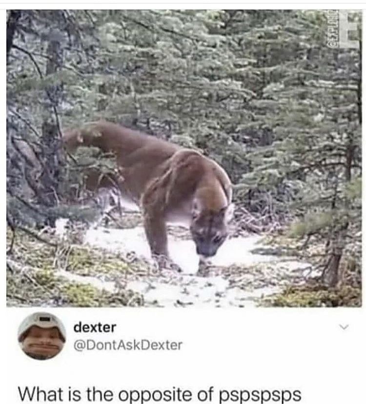 Nononono - Meme by FridayThe13th :) Memedroid