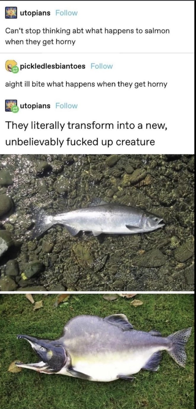 The Latest Memes :) Memedroid