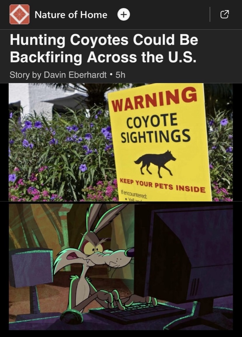 Funny Coyote Hunting Memes The Hunting News And Coyote Hunters In