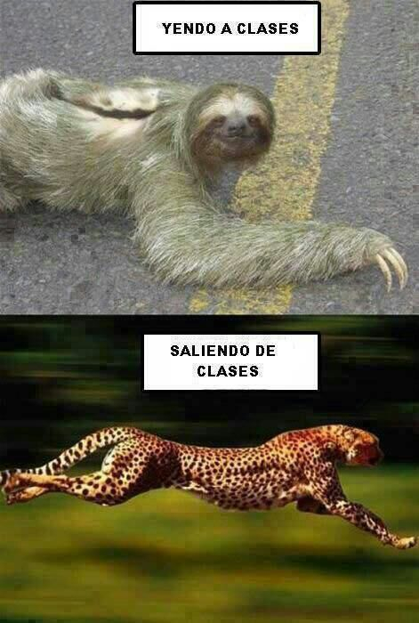 Que cierto es esto - Meme subido por alvarin0601 :) Memedroid