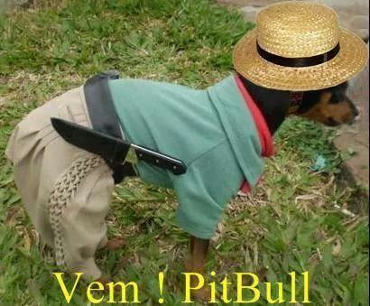 pode vir - Meme by gotinha.rds :) Memedroid