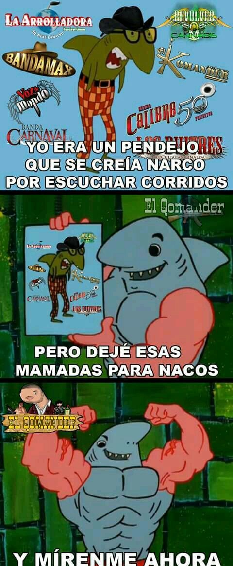 Escucho Corridos Memes