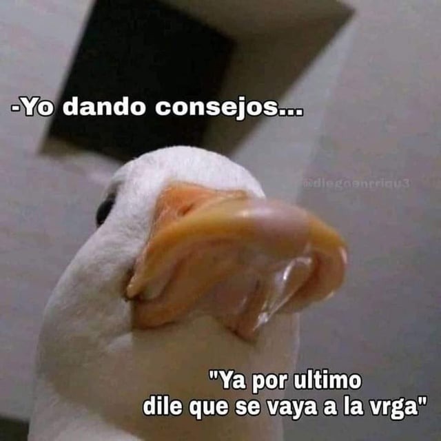 Top memes de Consejos en español :) Memedroid