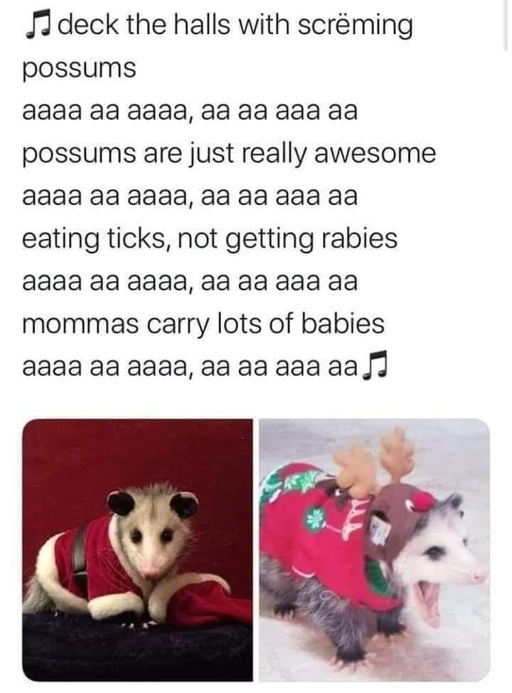 Possums :) - Meme by Chibi-Satan :) Memedroid