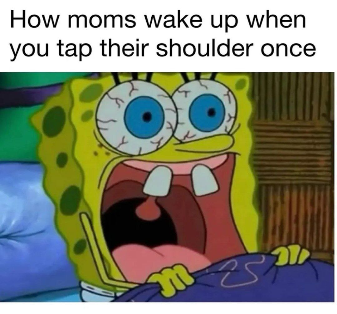 The Best Wednesday Memes :) Memedroid