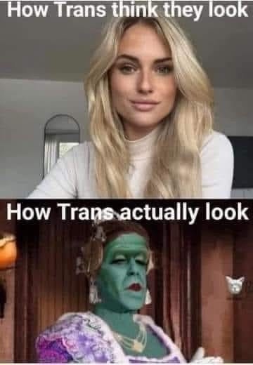 The best Trans memes :) Memedroid