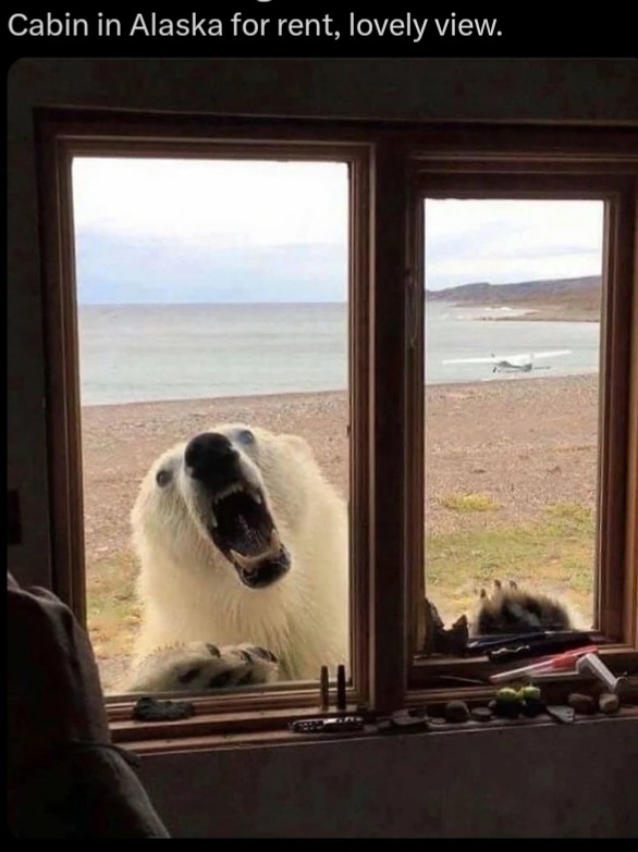 Alaskan Flat Tire Memes The Best Alaska Memes :) Memedroid