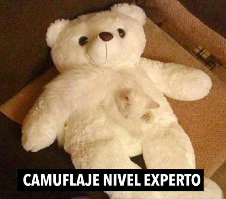 El título fue secuestrado - Meme by angel18 :) Memedroid