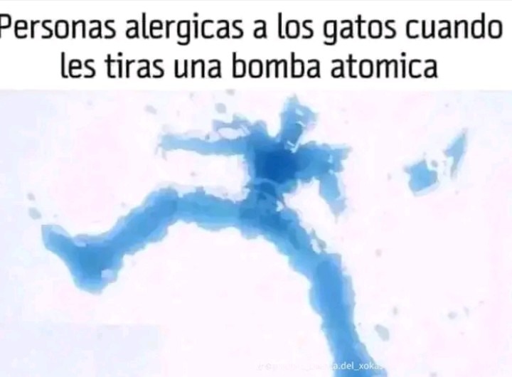 No soportan nada - Meme subido por Benjamin3434 :) Memedroid