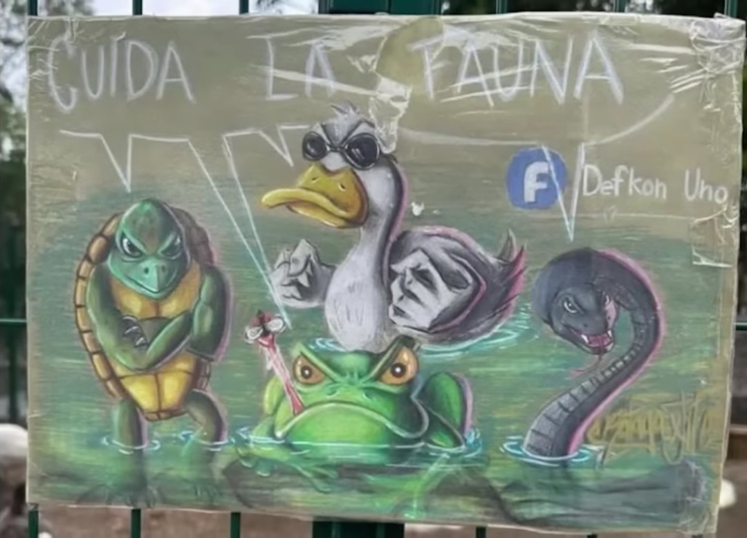 Últimos memes :) Memedroid