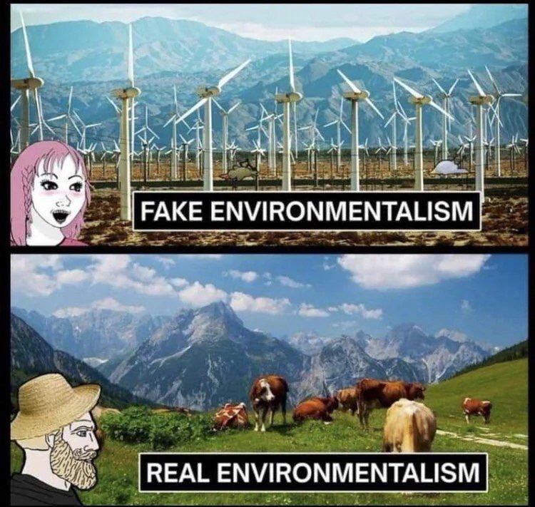 The Latest Memes :) Memedroid