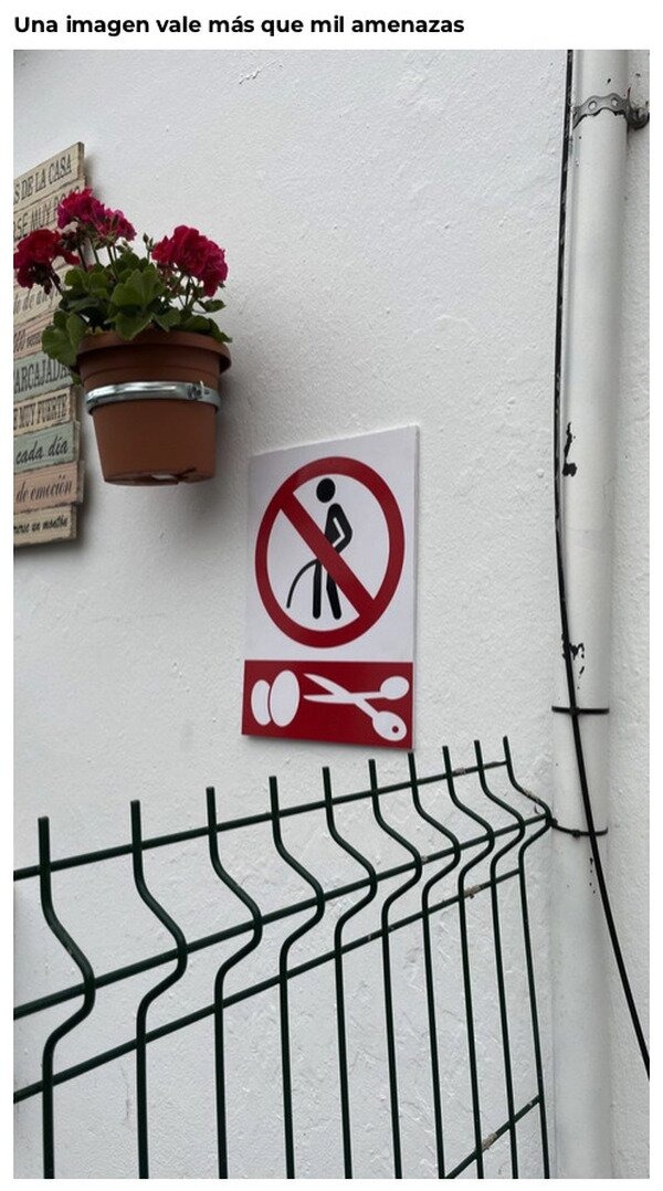 Los Últimos Memes :) Memedroid