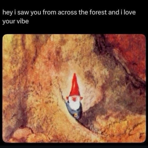 The best Forest memes :) Memedroid