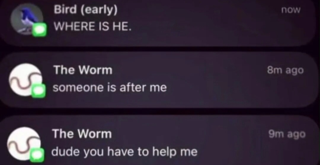 The best Bird memes :) Memedroid