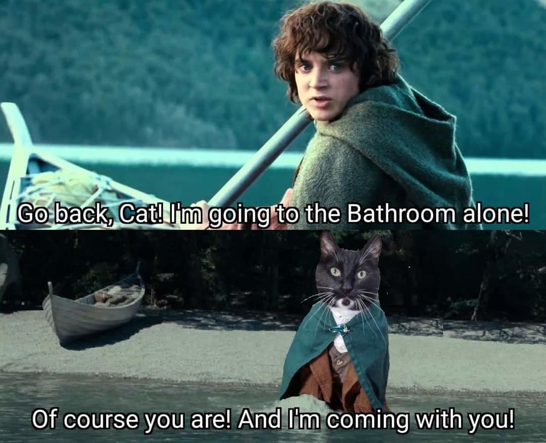 Accurate - Meme by YourOtherLeft :) Memedroid