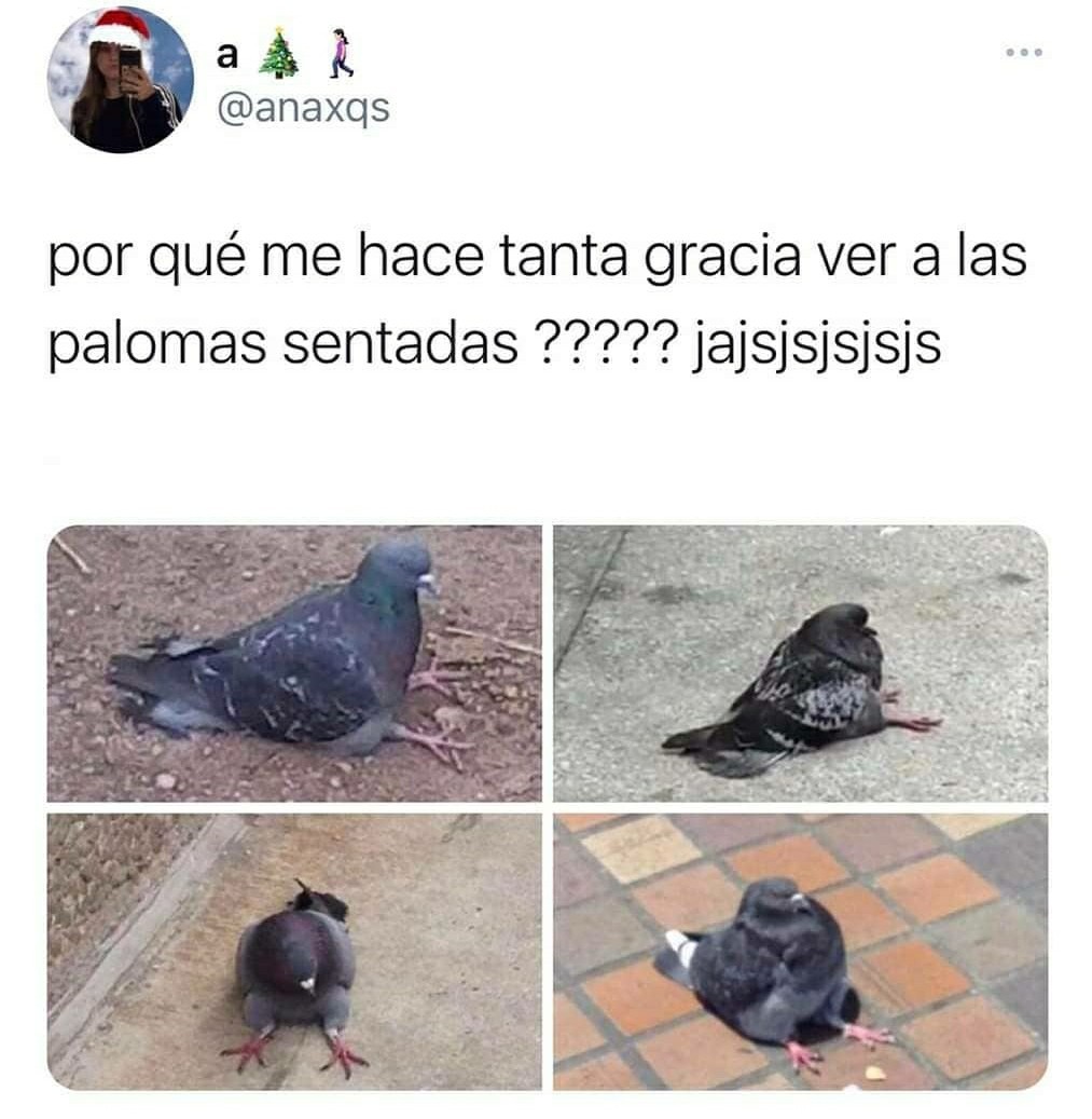 Palomas - Meme subido por SUPro :) Memedroid